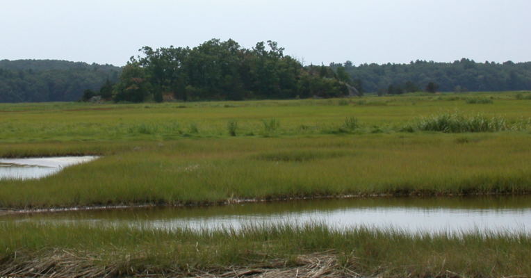 Natural Communities | Mass.gov