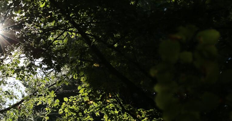 Camping at Massachusetts State Parks | Mass.gov