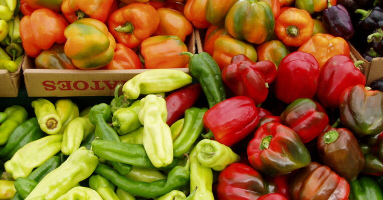 Farmers Market Program | Mass.gov