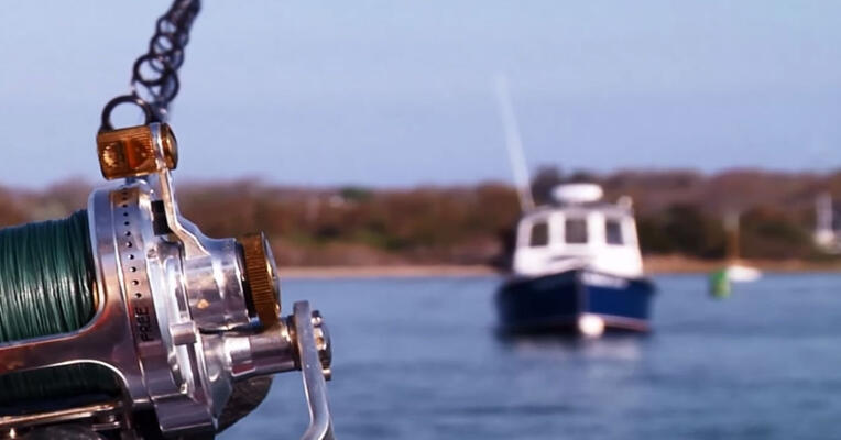 Marine Fisheries Regulations | Mass.gov