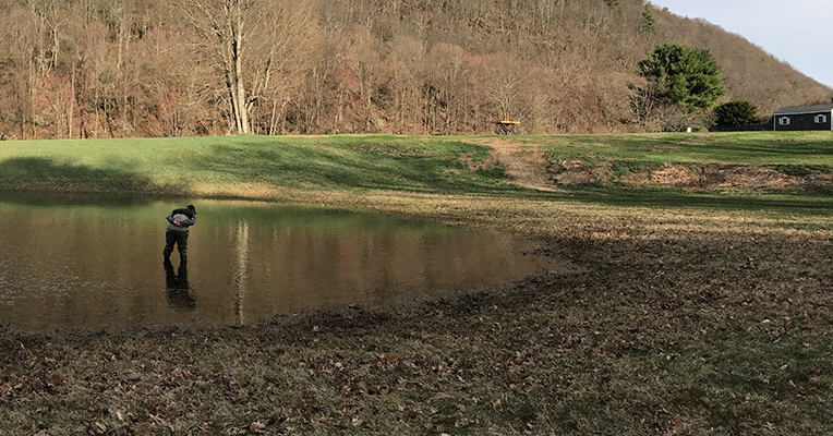 Vernal Pools | Mass.gov