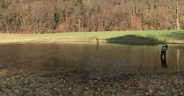Vernal Pools | Mass.gov