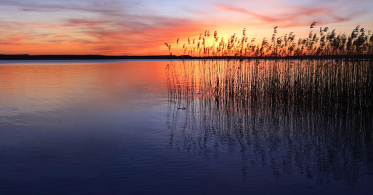 Wetlands Protection | Mass.gov