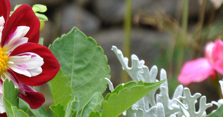 Fertilizer or Lime Registration | Mass.gov