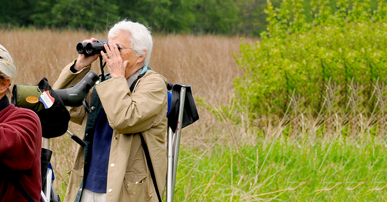 Wildlife Viewing Guide | Mass.gov