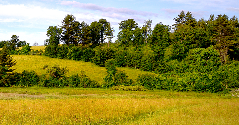 Land Protection | Mass.gov