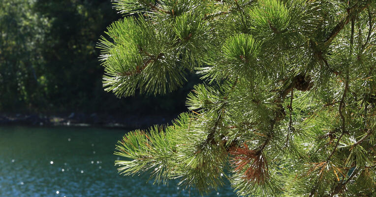 About the Water Resources Commission | Mass.gov