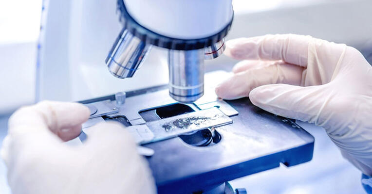 Genetic Counselor Licensing | Mass.gov