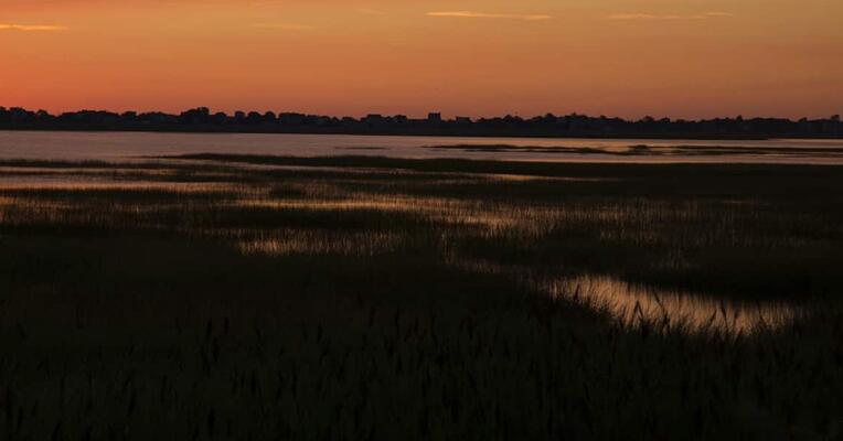 DDS Family Support | Mass.gov