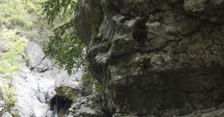 Massachusetts Water Conservation Standards | Mass.gov