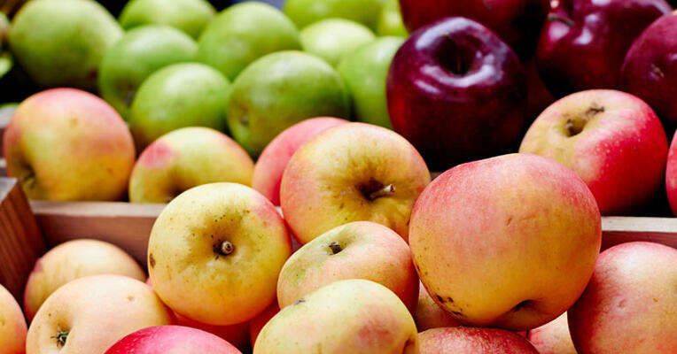 Food Safety | Mass.gov