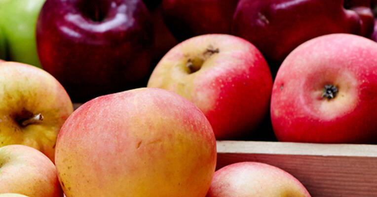 Food Safety | Mass.gov