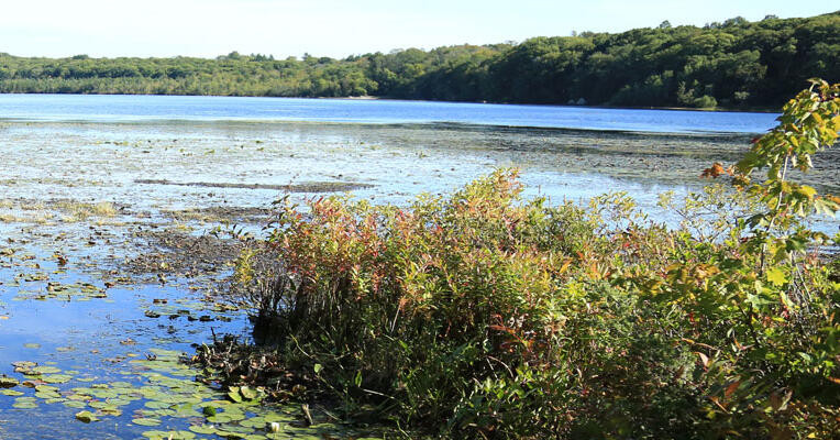 Fish, Wildlife, and the Environment | Mass.gov