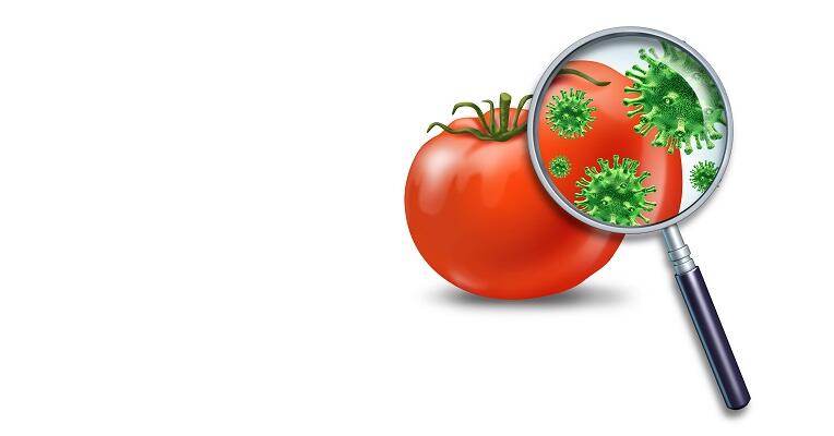 Foodborne illness | Mass.gov