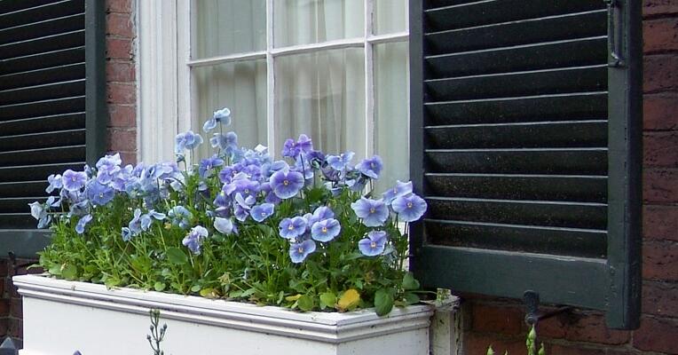 Assisted Living Residences | Mass.gov