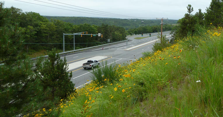 Roadside Landscape Design | Mass.gov