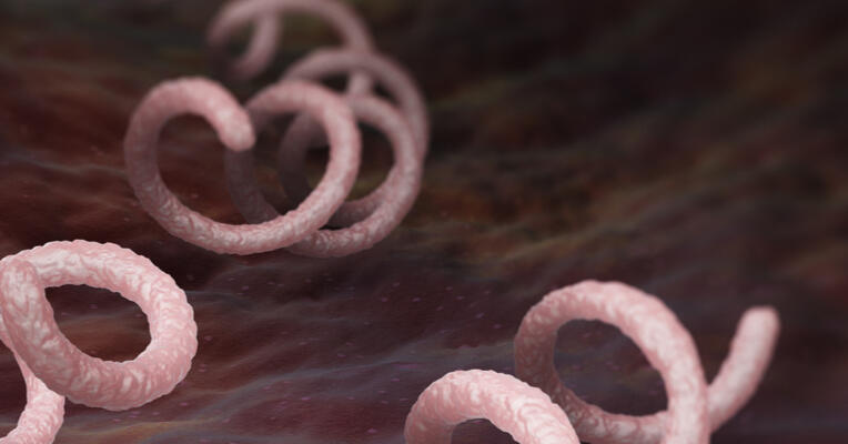 Sexually Transmitted Diseases (STD) | Mass.gov