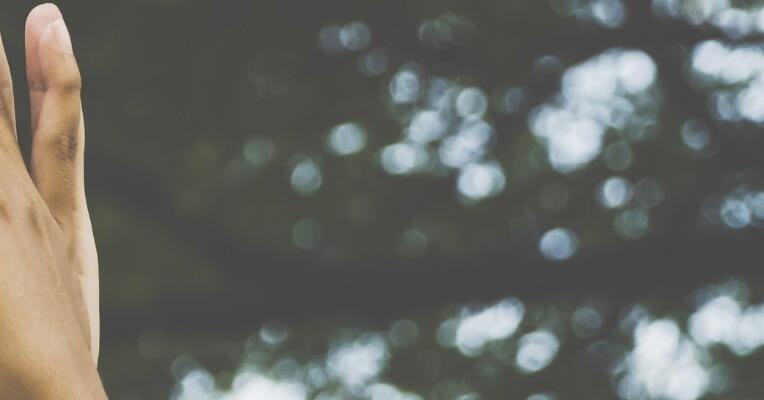 DCF partners and providers | Mass.gov