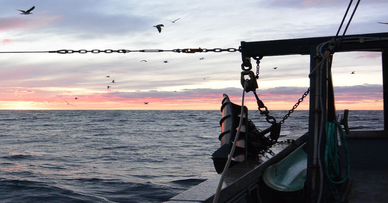 Marine Fisheries Advisories and Legal Notices | Mass.gov
