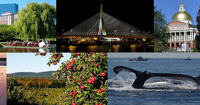 Environmentally Preferable Products (EPP) Procurement Program | Mass.gov