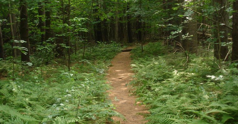 Trails in DCR State Parks and Forests | Mass.gov
