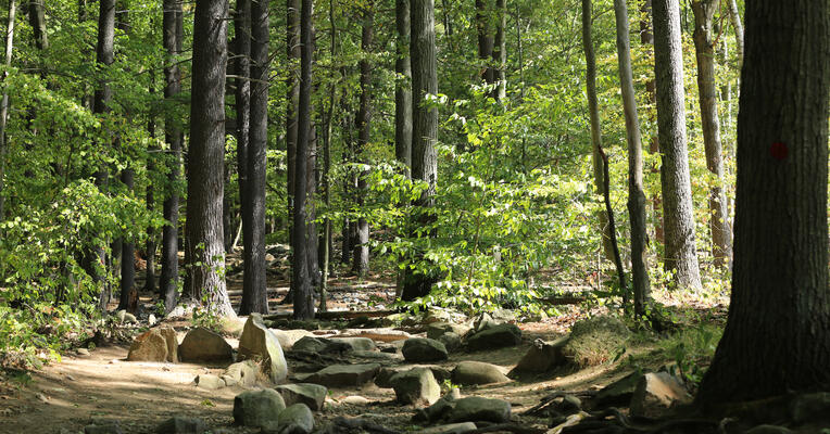 DCR State Park Regional Offices | Mass.gov