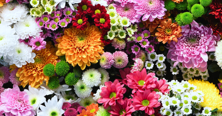 Division of Local Services Spring Update | Mass.gov