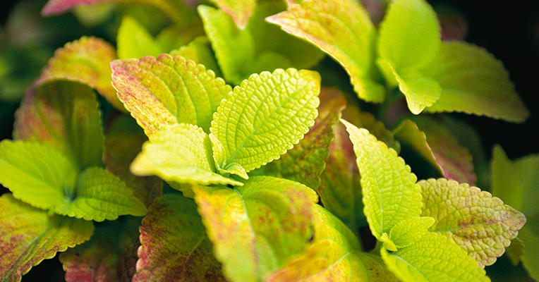 MassDEP’s Environmental Justice Program | Mass.gov