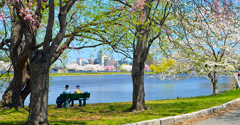 Group Classification Information (MSRB) | Mass.gov