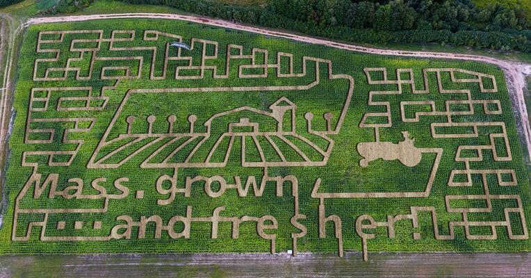 Agritourism Farms | Mass.gov