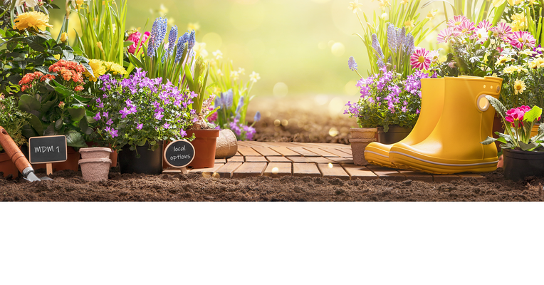 Division of Local Services Spring Update | Mass.gov