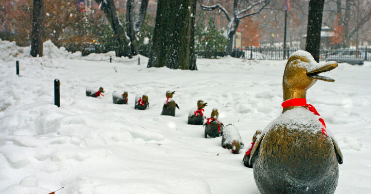 Group Classification Information (MSRB) | Mass.gov