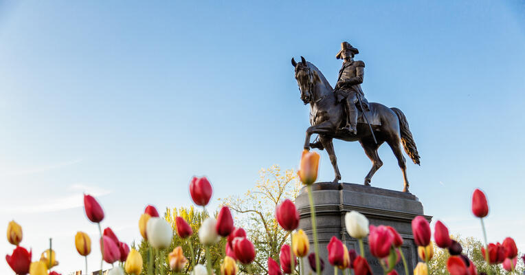 Group Classification Information (MSRB) | Mass.gov