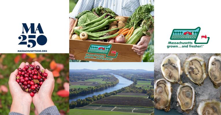 MassGrown 250 | Mass.gov