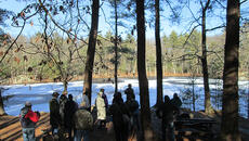 Georgetown-Rowley State Forest | Mass.gov