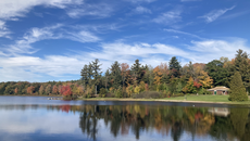 Granville State Forest | Mass.gov